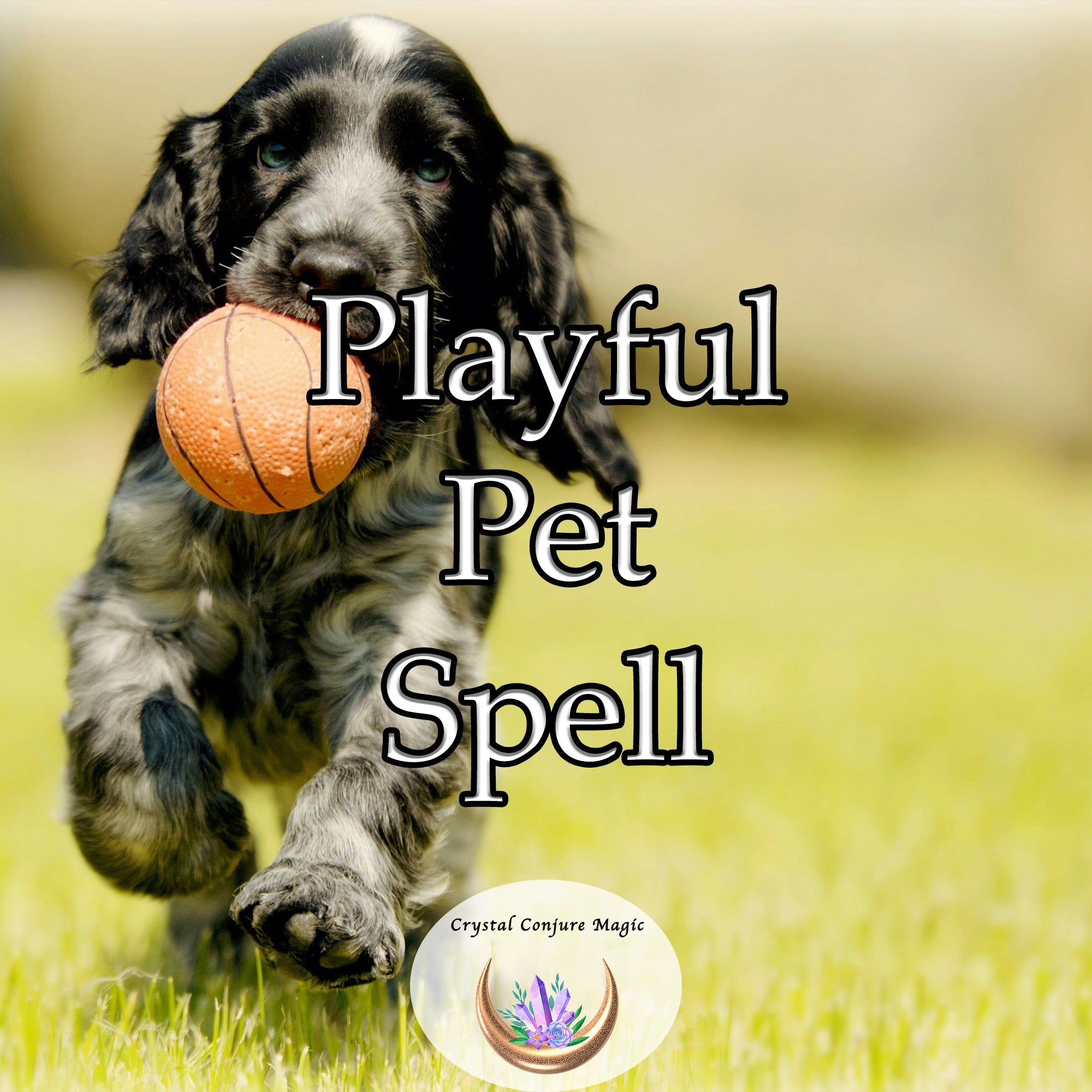 Playful Pet Spell - transform your pet's behavior to be fun and frisky ...